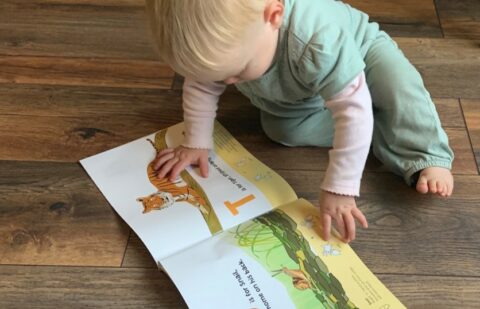 The Magic of BSL Books: Sign Language Stories for All Ages - Little ...