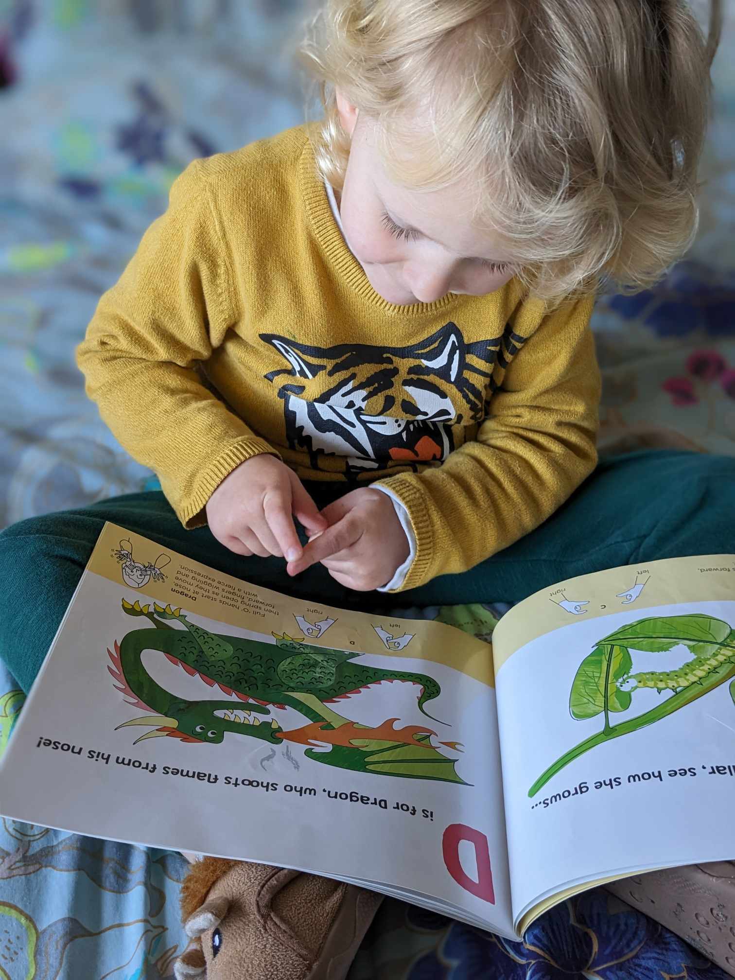 BSL Books For Kids - Little Signers Club