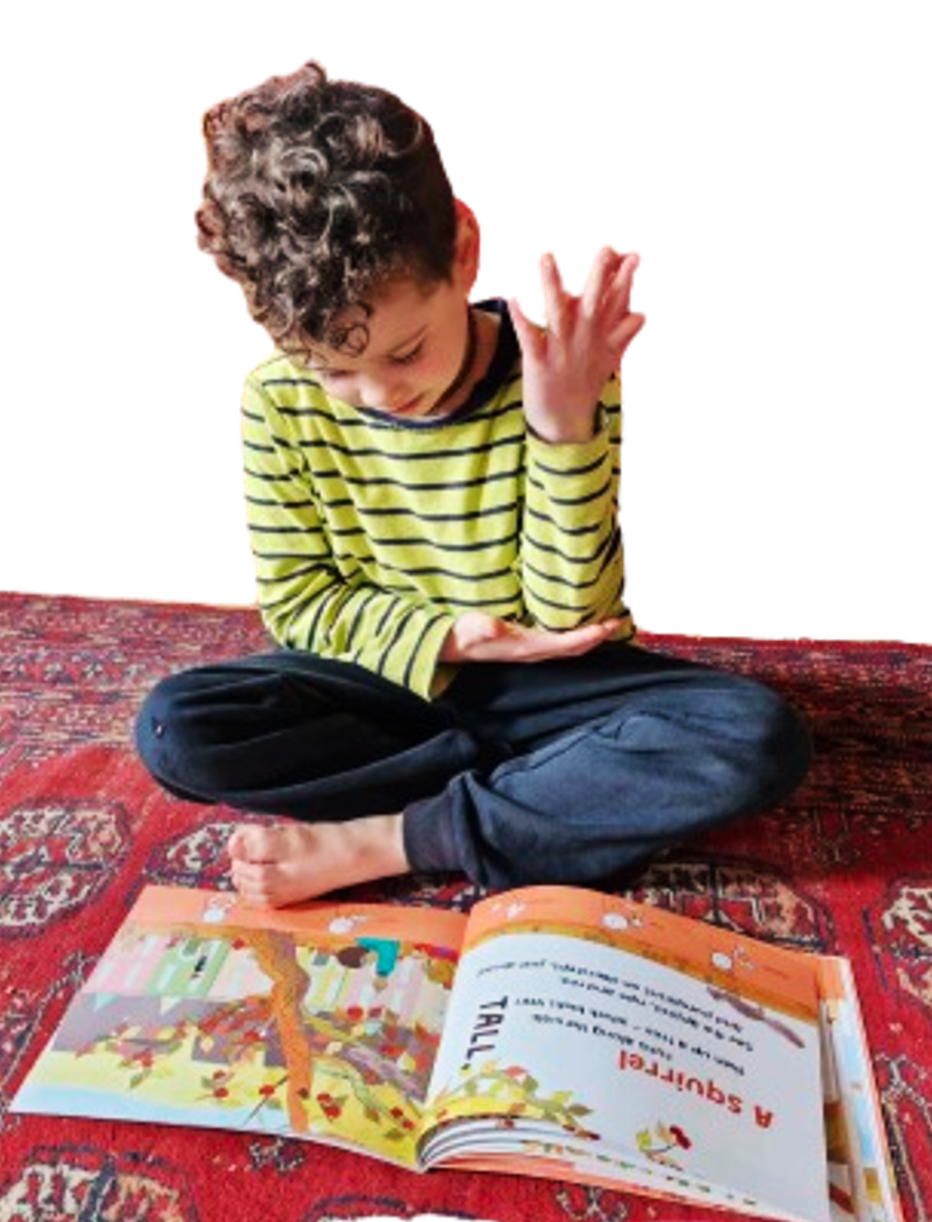BSL Books For Kids - Little Signers Club